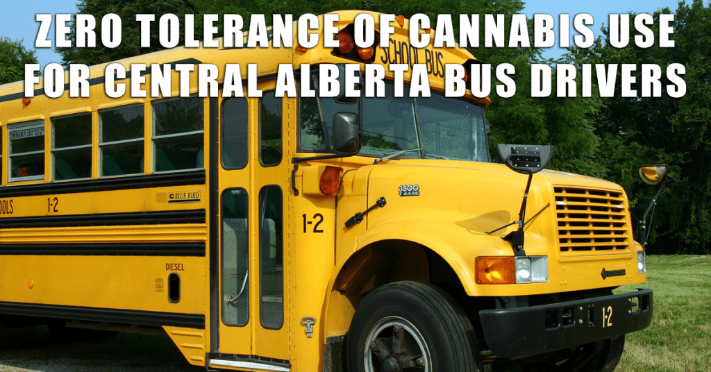 Zero tolerance of cannabis use for central Alberta bus drivers - DATAC
