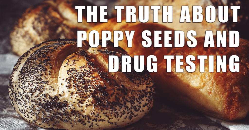 The truth about poppy seeds and drug testing - DATAC