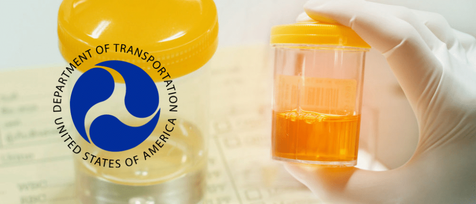 Training Programs - DATAC