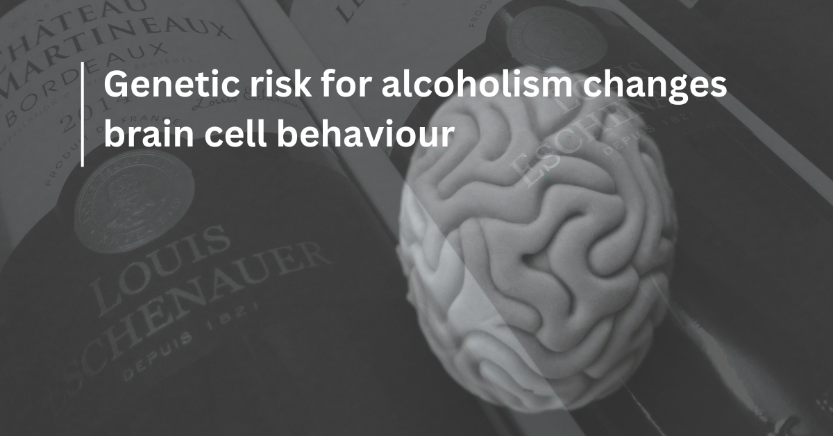 Genetic risk for alcoholism alters brain cell behaviour: New study - DATAC